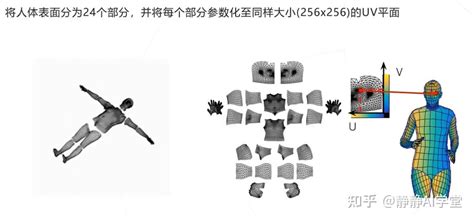 Mmpose代码学习——笔记2 知乎