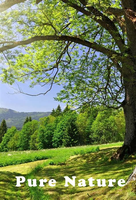 Pure Nature - TheTVDB.com