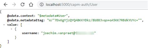 Test Your Cap Nodejs Applications With Authenticat Sap Community