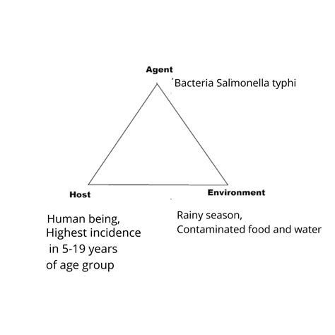 Typhoid Fever Enteric Fever Symptoms Causes Treatment Vaccine