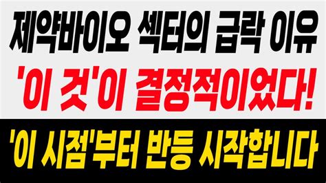제약바이오 섹터의 급락 이유 이 것이 결정적이었다 제약바이오 매수 타이밍 결국 이 시점부터 반등 시작합니다 Feat