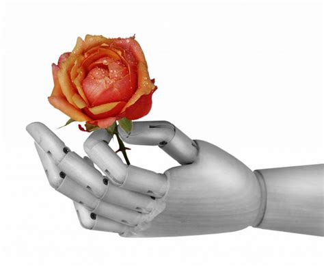 How Improved Robot Dexterity Will Help Your Business
