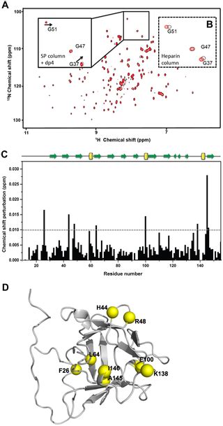 Dimerization Capacities Of Fgf2 Purified With Or Without Heparin
