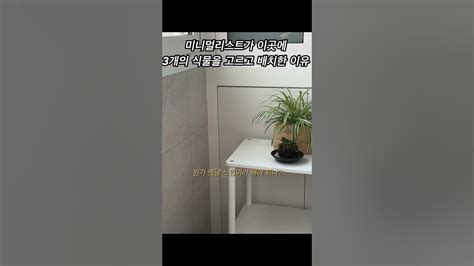 미니멀리스트 미니온실 식물인테리어 Plants 반려식물 식물키우기 정원 정원놀이 가드닝 베란다가드닝 베란다정원 베란다식물 베란다꾸미기 홈캠핑