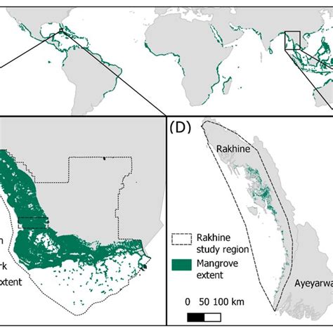A Global Mangrove Extent From The Global Mangrove Watch 2016 Dataset Download Scientific