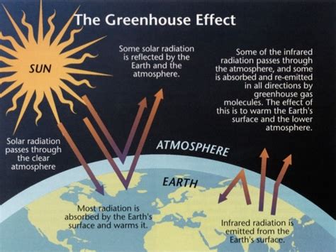 Acid Rain Ozone Depletion Global Warming