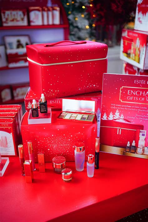Estee Lauder Makeup Set
