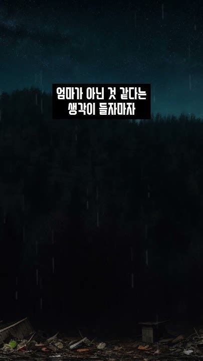 고양이를 죽음으로 몰아간 정체불명의 존재 Youtube