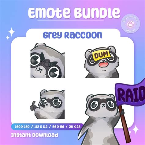 Cute Chibi Raccoon Twitch Emote Pack 4 Kawaii Raccoon Emote Bundle