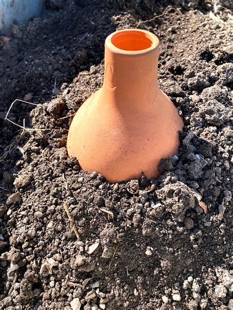 Water Smart Watering Tilth Alliance