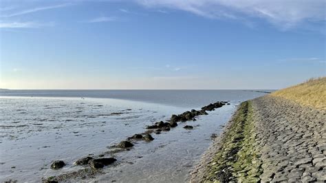 Den Oever Visit Kop Van Holland