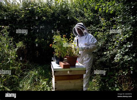 Happy Bee Keeping Hi Res Stock Photography And Images Alamy