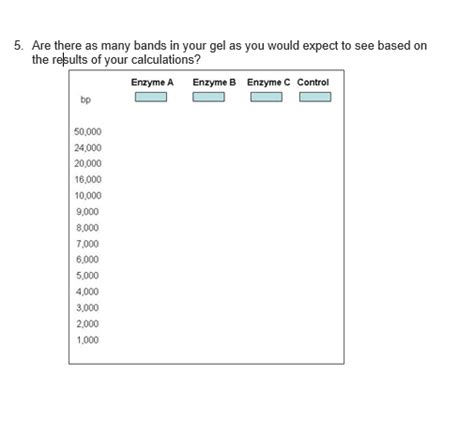 Solved How Many Times Does The Sequence Gaattc Occur In The