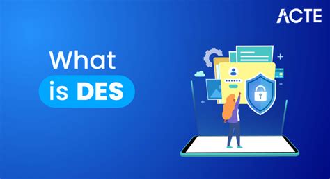 What Is DES Free Guide Tutorial REAL TIME Examples Updated 2025