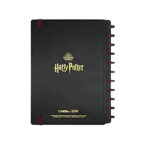Caderno Inteligente Harry Potter Grande Art Pel