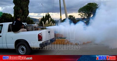 Hoy Tamaulipas Muerte Por Dengue Once Muertos Y Casi 500 Casos De