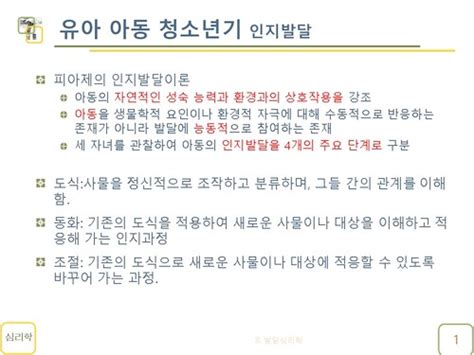 인지 도덕 사회성발달