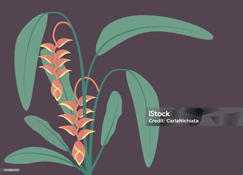 열 대 식물 Heliconia Rostrata 라고도 랍스터 발톱 벡터 텍스트 복사 공간 꽃 배경 그림입니다 0명에 대한 스톡