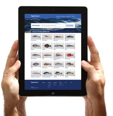 OpenSeas Answers Your Questions Simply SNZ Deepwater Council