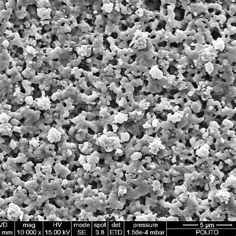 Sem Image Of The Ni Ysz Anode Surface Download Scientific Diagram