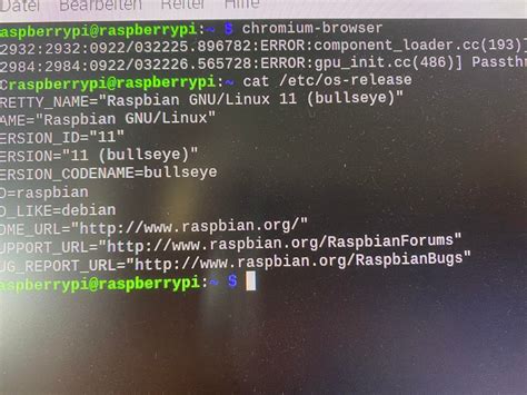 Raspberry Pi 4 Mit 2022 09 22 Raspios Bullseye Armhfimg Startet Den