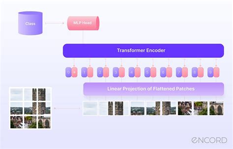 Ứng Dụng Vision Transformer Vits Trong Xử Lý Hình ảnh Vinbigdata