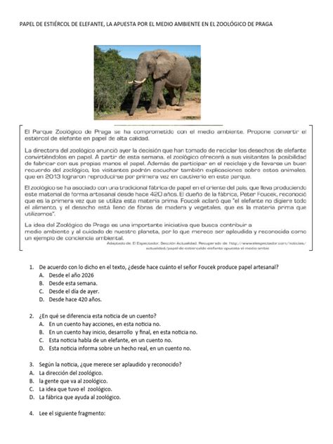 Comprension Lectora Grado 4º Pdf