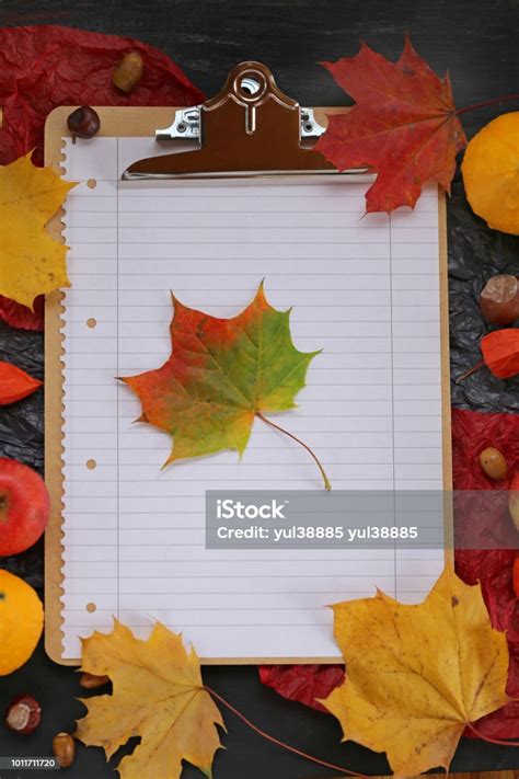 가 Mockupempty 클립보드 색된 단풍 잎 호박 사과 노란 단풍 잎 구겨진된 Papertop 보기 복사 공간에 가
