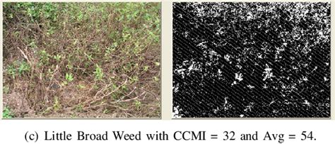 Figure 1 From A Real Time Iot And Image Processing Based Weeds Classification System For