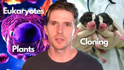 Cloning Eukaryotic Genes And Electrophoresis Youtube