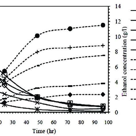 Shows Ethanol Production From The Fermentation Process By S Cerevisiae