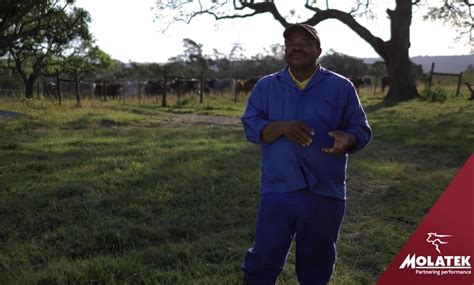 Molatek Ruminants Series Matholengwe Monwabisi