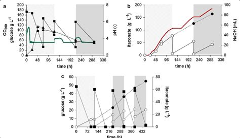 Repeated Batch With Cell Recycling Of U Cynodontis Nbrc 9727 ∆fuz7 R Download Scientific