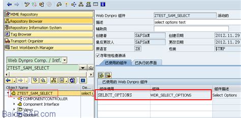 Web Dynpro for ABAP 简单SELECT OPTIONS实例 摆渡SAP