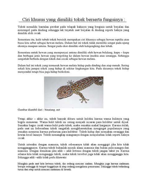 Ciri Khusus Yang Dimiliki Tokek Berserta Fungsinya Pdf