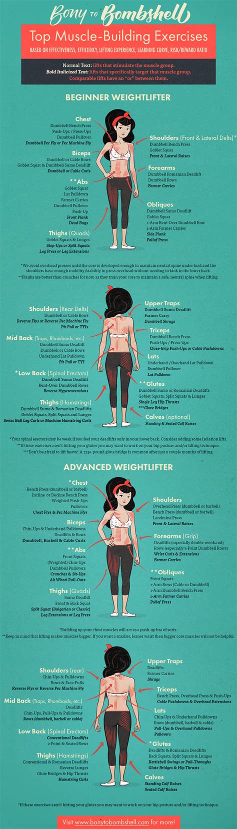 The Best Muscle Building Exercises For Women — Bony To Bombshell