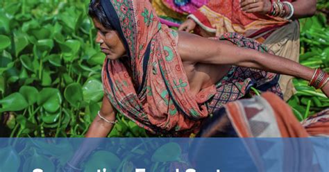 Undp White Paper Supporting Food Systems Transformation Towards Sustainability And Resilience