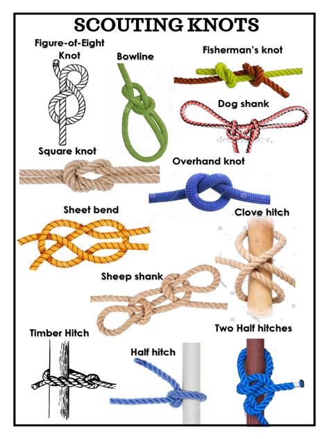knots pdf