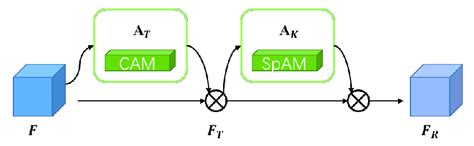 Cbam Module Structure Cbam Module Structure Download Scientific Diagram