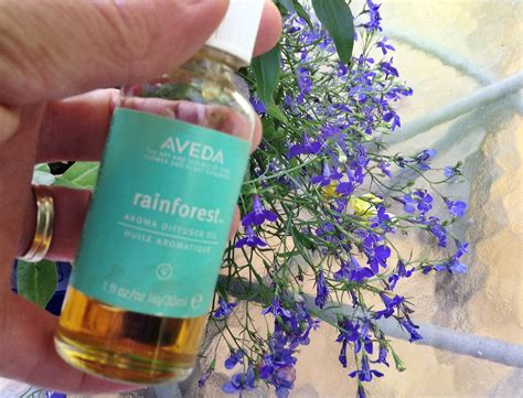 Diy Aveda Rainforest Essential Oil Diffuser Blend Essential Oils Room