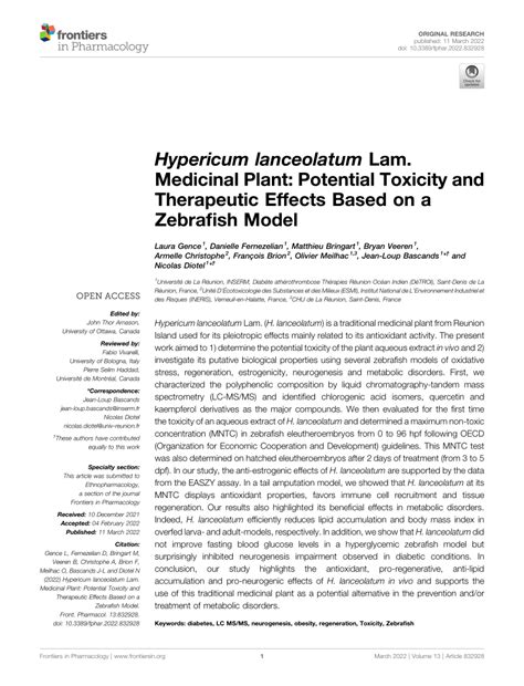 Pdf Hypericum Lanceolatum Lam Medicinal Plant Potential Toxicity