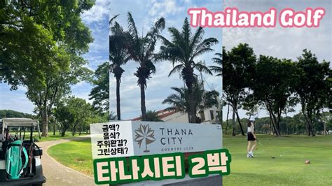 태국 골프 전지훈련 마지막 라운딩⛳️ Thana City 타나시티 1인1캐디 페어웨이 카트진입 가능 Youtube