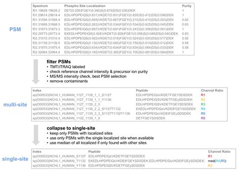 Tmt Analyses With Fragpipe Fragpipe