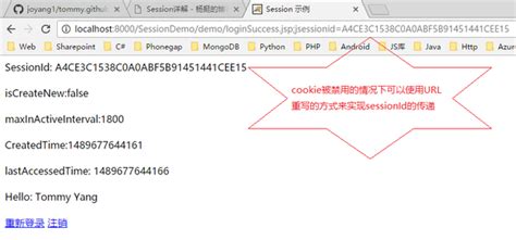 Session详解 知乎