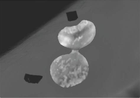 Spatial Distribution Of Parameter A Download Scientific Diagram