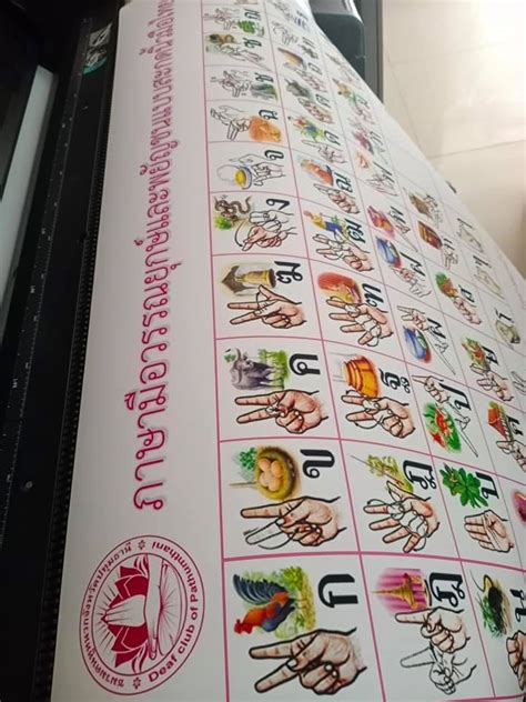 ปริ้นรูปขนาดใหญ่ กระดาษธรรมดา กระดาษ100ปอนด์ กระดาษอิงเจท กระดาษโฟโต้