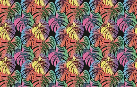 Tropical Leaves Art Colorful Leaves Abstract Art Tropical HD