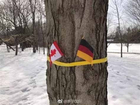 比利時和德國國旗長啥樣？傻傻分不清 每日頭條