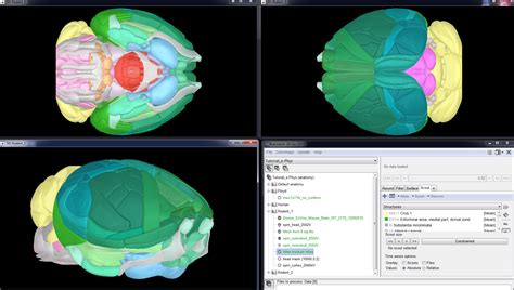Get Structure Mesh Always Returns The Same Tessellation Issue AllenInstitute AllenSDK