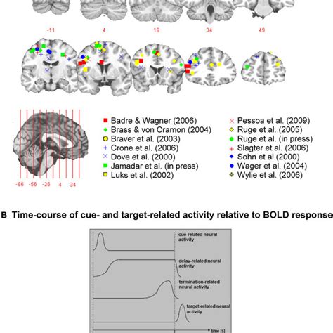 Cued Trials Task Switching Paradigms Include A Random Sequence Of Download Scientific Diagram